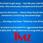 ALL HELL’S BREAKING LOOSE … Alexx Michael of Shameless talks Touring ...